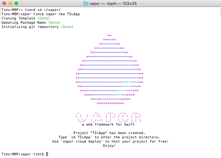 Using Fluent and Persisting Models in Vapor | Kodeco