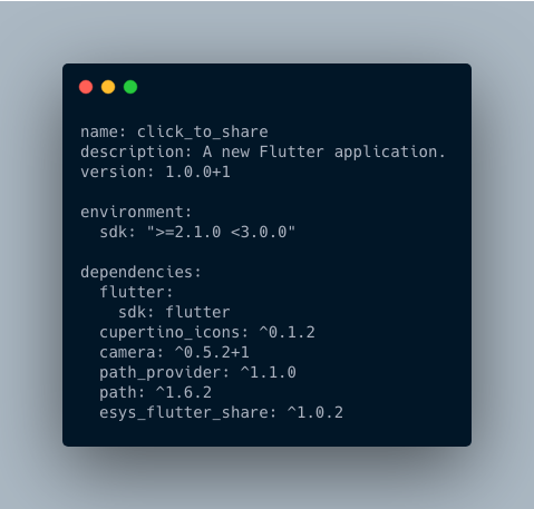 Using the Camera on Flutter | Kodeco