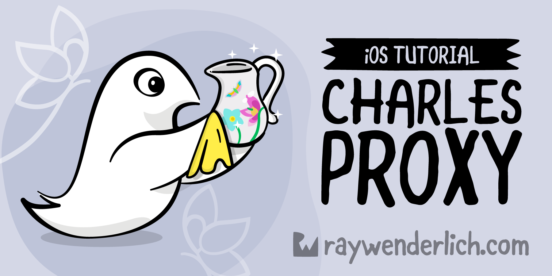 Charles Proxy Tutorial for iOS | Kodeco