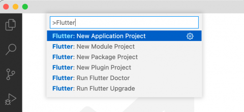 Getting Started With Flutter | Kodeco