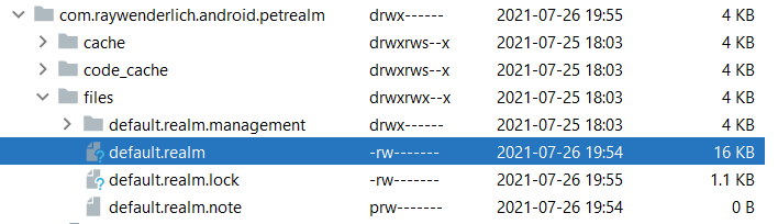 Realm Database on Android: Getting Started | Kodeco