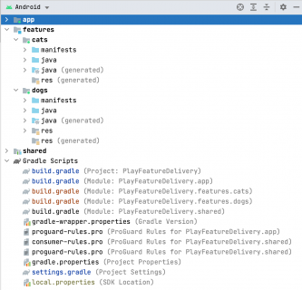 Android App Bundles: Play Feature Delivery | kodeco.com, the new ...