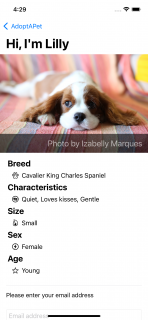 SwiftUI View Modifiers Tutorial for iOS | Kodeco, the new raywenderlich.com